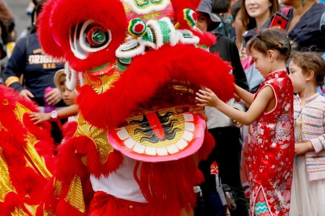 Chicken-sized prehistoric creature helps experts understand avian ...